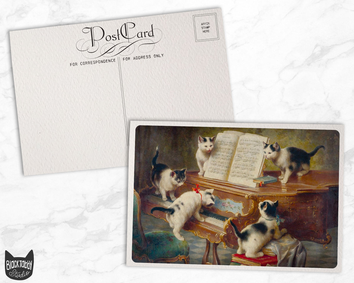 Vintage Cats - 24 Postcards – Black Tabby Studio